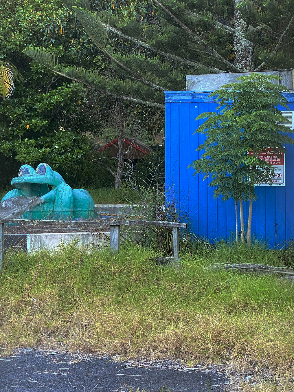 Inside New Zealand's Abandoned Waiwera Hot Pools: A Forgotten Water ...